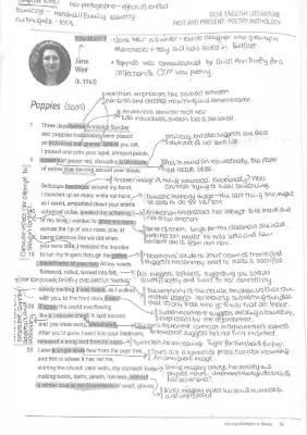 GCSE Poppies Poem Analysis and Annotations by Jane Weir (English ...