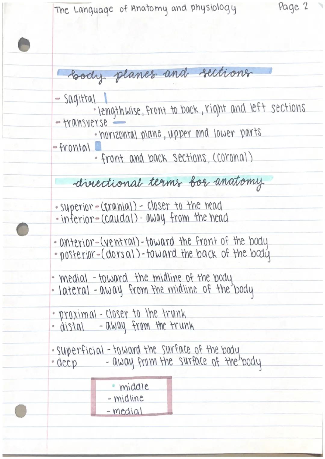 Fun with Anatomy: Directional Terms, Body Planes, and Cavities for Kids ...