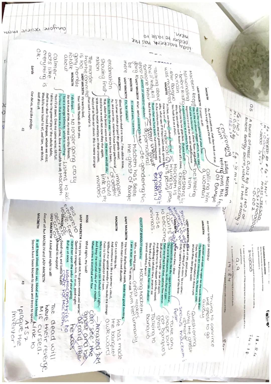 Banquo's Suspicion in Macbeth: Summary, Analysis, and Key Quotes ...