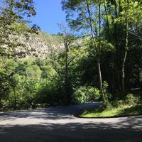 GCSE Poppies Poem Analysis and Annotations by Jane Weir (English ...