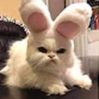 Why Did Europeans Explore the World from 1450 to 1750? (AP World ...