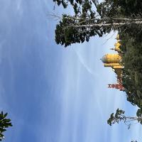 Understanding Solids, Liquids, and Gases (Physics) as PDF - Knowunity