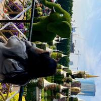 Differences and Similarities Between North and South Before the Civil ...