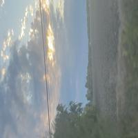 Step-by-Step Guide to Graphing Exponential Functions (Algebra 1 ...