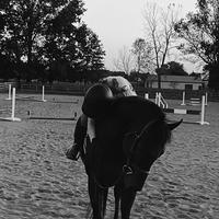 Simply explained: Discover APUSH Period 1: Native American Tribes, 1491 ...