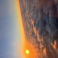 Food Chains and Energy Pyramid BrainPOP (Biology) as PDF - Knowunity